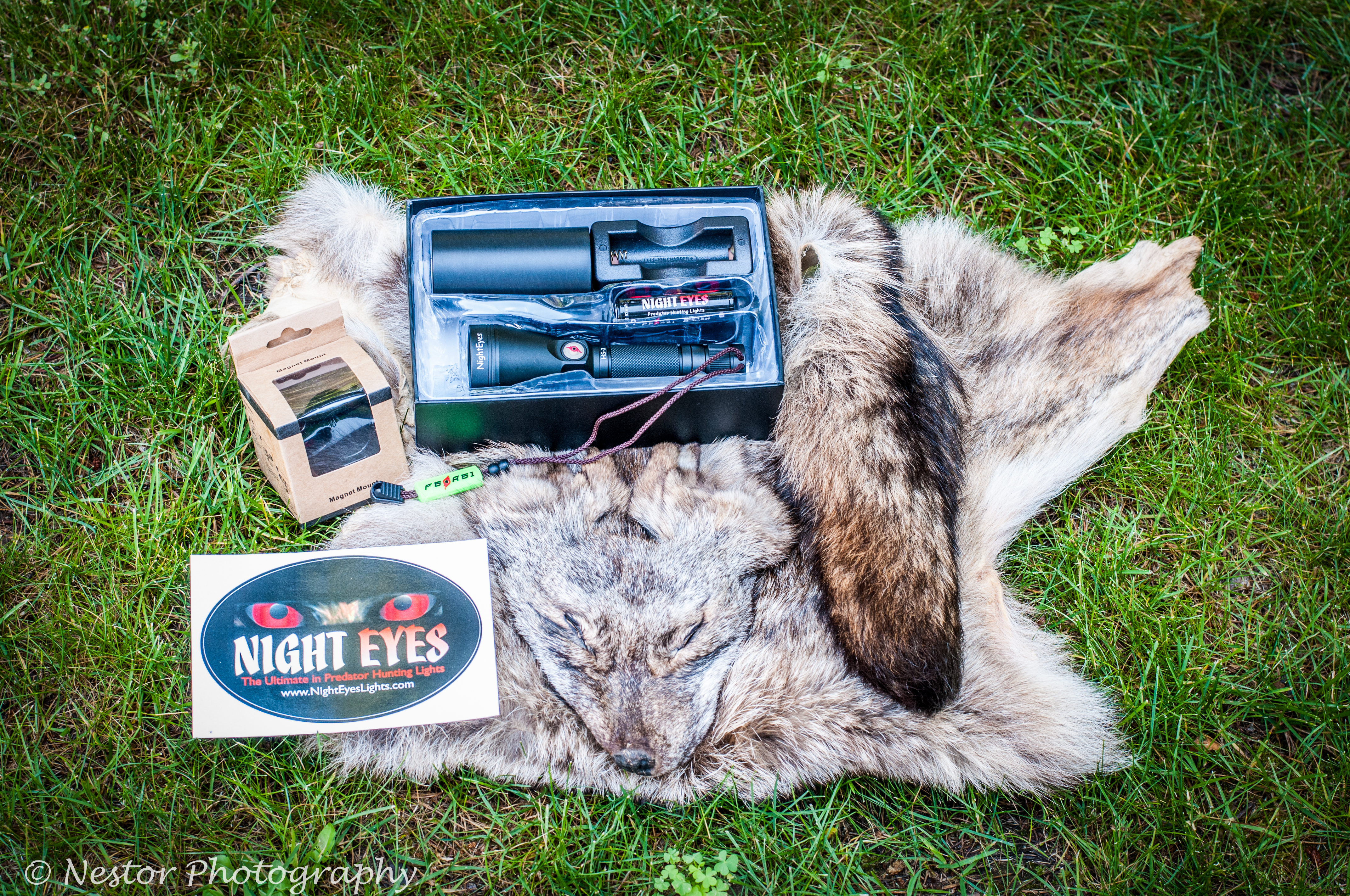 Spot More Predators at Night With the Night Eyes Scan Light - Wide Open ...