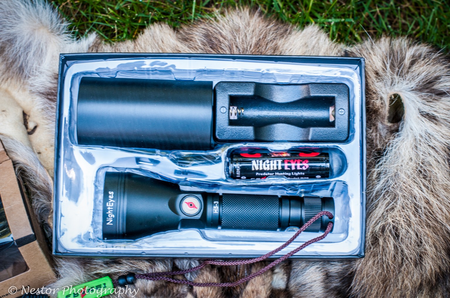 Spot More Predators at Night With the Night Eyes Scan Light - Wide Open ...