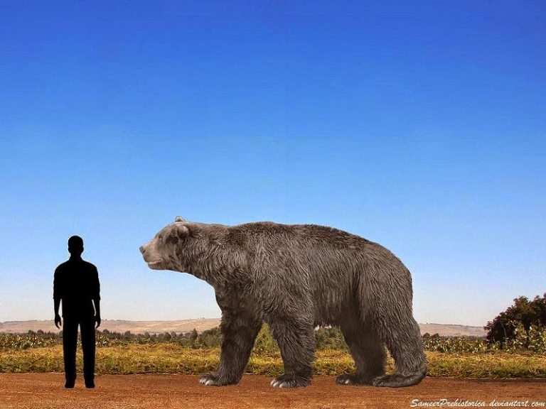 7 Incredible Facts About the Short-Faced Bear - Wide Open Spaces