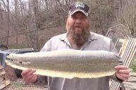 Fish Skins for First Aid? This is No Fish Story... - Wide Open Spaces