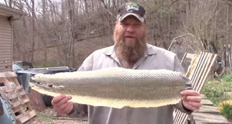 Learn How to Preserve Your Gar Fish Hide - Wide Open Spaces