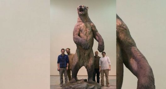 7 Incredible Facts About the Short-Faced Bear - Wide Open Spaces