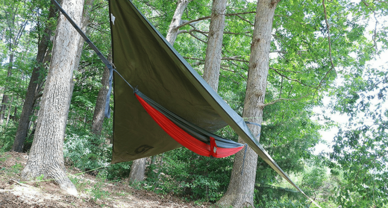 Today Only: Save a Load on Twisted Root Hammocks and Accessories - Wide ...