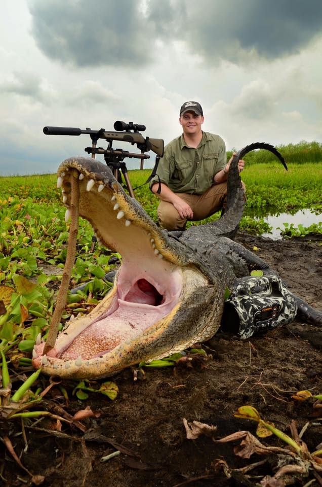 Predator Pursuit Calls Giant Gator Across Road and Canal with a Foxpro ...