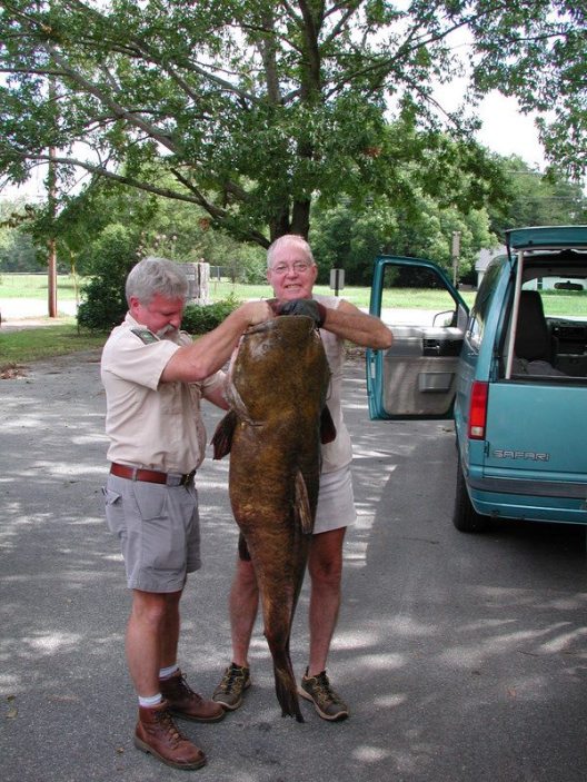 Monster 103-Pound Flathead is Not a Record Because of the Way it Was ...