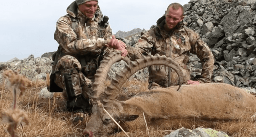 This Kill Shot Compilation Has to be One of the Best Hunting Has Ever ...