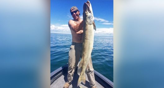 Record-Breaking Mammoth Muskie Found Dead on Minnesota's Mille Lacs ...