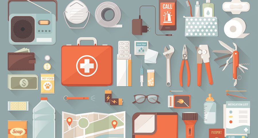 INFOGRAPHIC: 12 Elements You Need to Survive a Natural or Man-Made ...