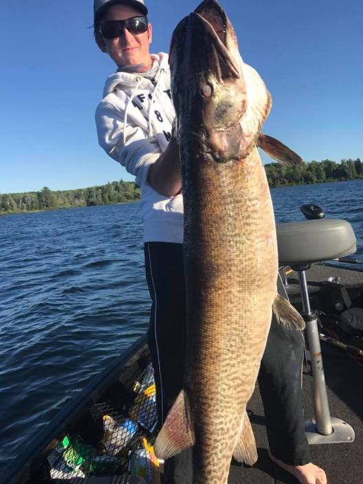 Feast Your Eyes on This Brute of a Muskie That Was Found Floating ...
