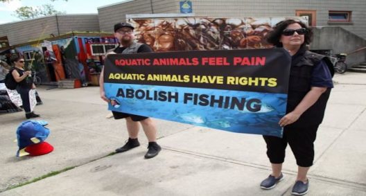 14 Times ‘Fish Rights’ Activists Went WAY Too Far - Wide Open Spaces