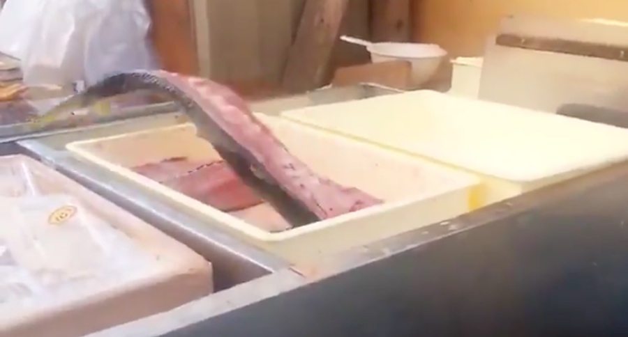 Why'd This Video of a Flopping Filleted Fish Go Viral? Anglers Know All ...