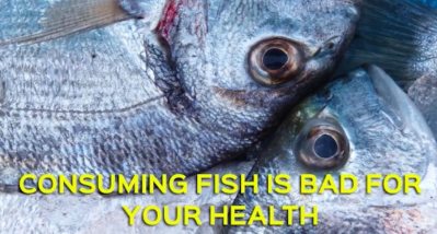 14 Times ‘Fish Rights’ Activists Went WAY Too Far - Wide Open Spaces