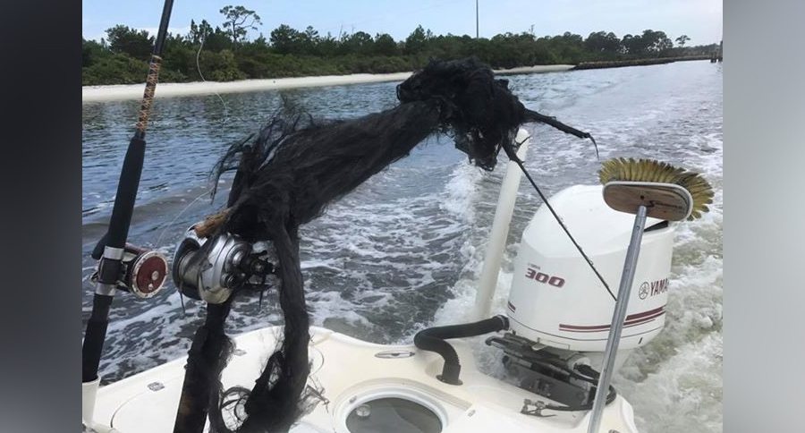 Anglers Lucky to be Alive After a Fishing Pole Got Struck by Lightning ...