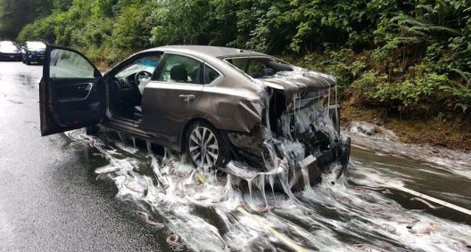 Here's What Happens When a Truck Full of Hagfish Crashes in Oregon ...