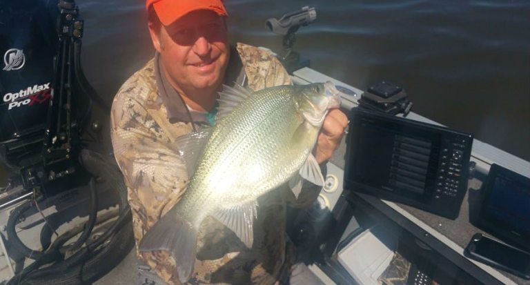 Wisconsin Fishing Records Are Falling Like Dominoes This Year - Wide ...