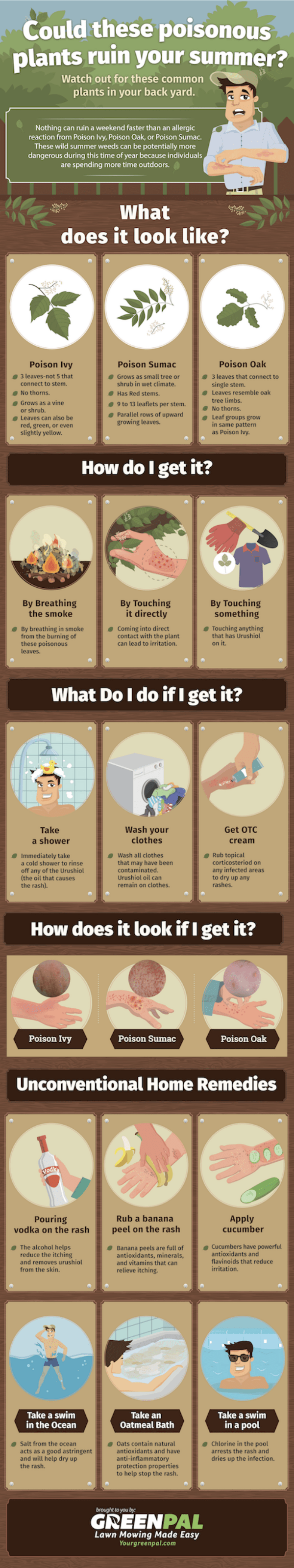 Learn to Identify and Treat Poison Ivy and its Cousins With This ...