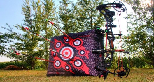 Every Bowhunter Should Invest in This Target - Wide Open Spaces