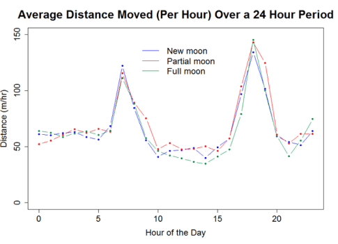 How Does Moonlight Affect Deer Movement? - Wide Open Spaces
