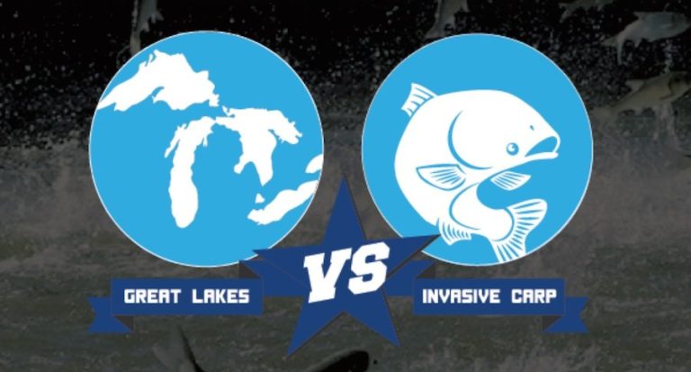 Are You Ready for the Invasive Carp Challenge? - Wide Open Spaces