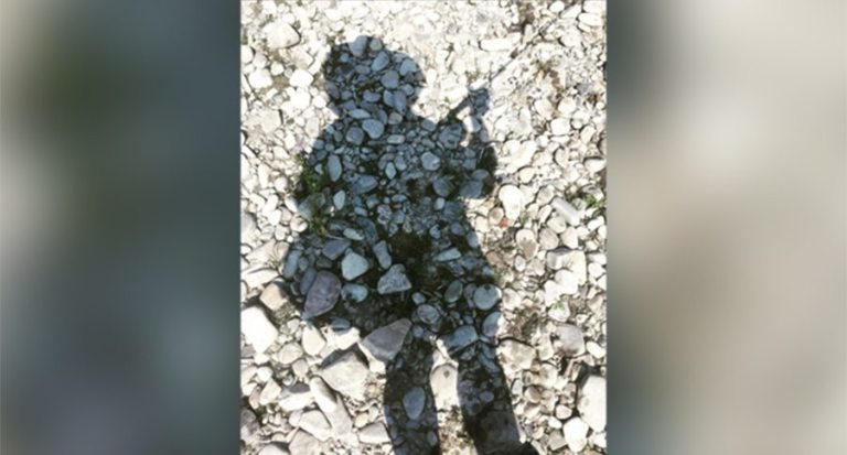 Here Are the Most Incredible Eclipse Fish Shots from August 21st - Wide ...