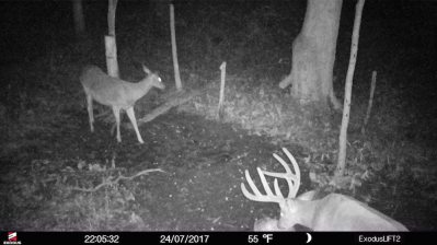 Full In-Depth Review of the Exodus Lift Mark II Trail Camera