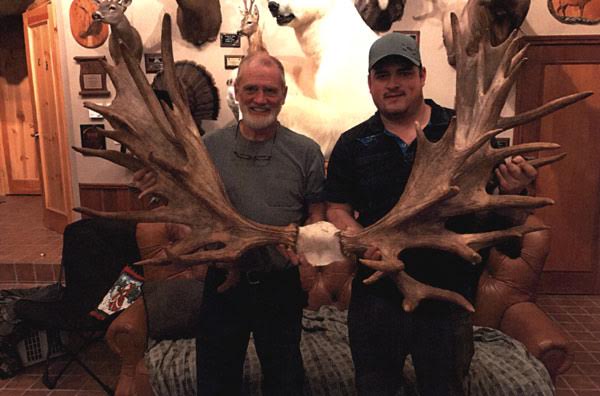 How Big Are Moose? The Largest Moose In Recorded History