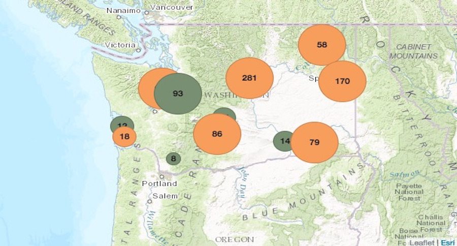 Cleaning Up on Roadkill: Washington Residents Take 1,600 Deer and Elk ...