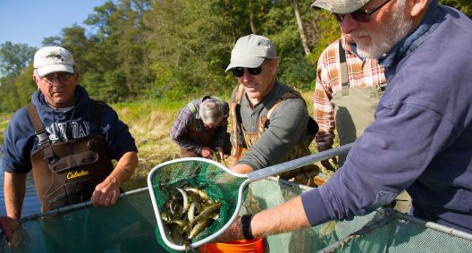 It's Time to Find Out if a Walleye Pond Actually Works - Wide Open Spaces