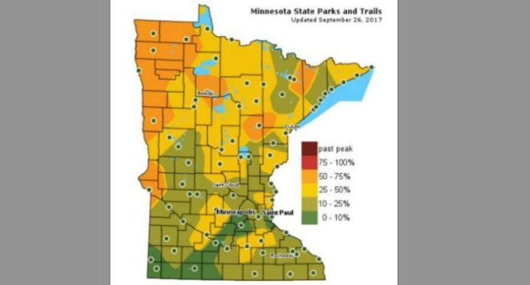 Minnesota DNR Has An Awesome Way to Track Changing Colors of Fall ...
