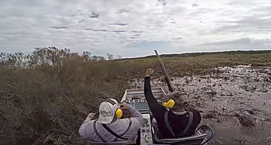 Video: Awesome Hog Hunting From an Airboat - Wide Open Spaces