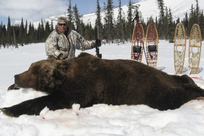 largest ever bear