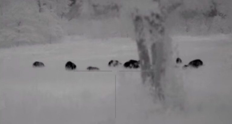 Feel the Intensity of These Shocking Hunting Moments Caught on Camera ...