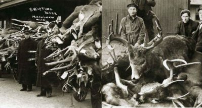 Check Out These 25 Awesome Vintage Deer Hunting Photos for # ...