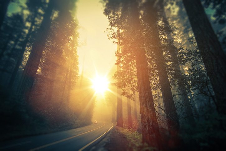 The 3 Best Backroads to Drive in California - Wide Open Spaces