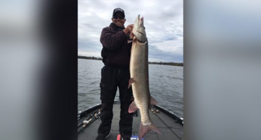 Bass Tournament Angler Catches Giant 60-Inch Musky - Wide Open Spaces