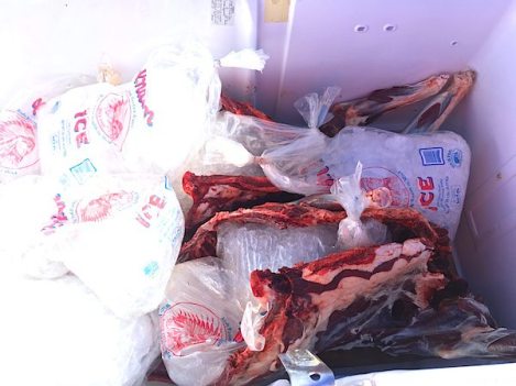 How to Treat Wild Game Meat: Lessons Learned From a Hunting Father ...