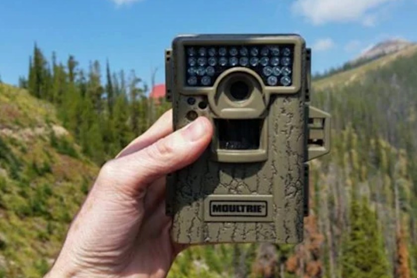 An In-Depth Look at the Exodus Trek Trail Camera - Wide Open Spaces