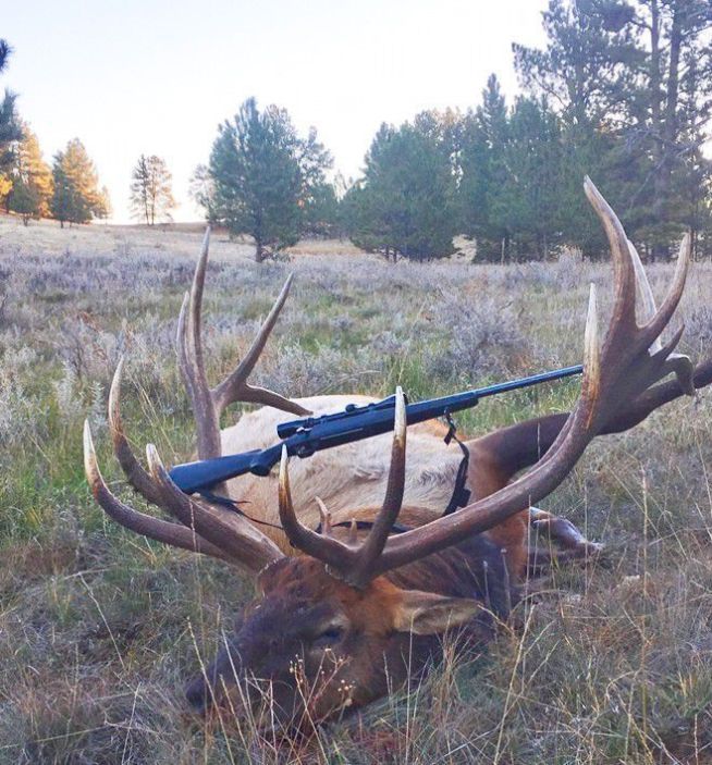 Feast Your Eyes on Montana's New Non-typical Bull Elk Record - Wide ...