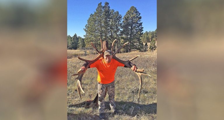Feast Your Eyes on Montana's New Non-typical Bull Elk Record - Wide ...