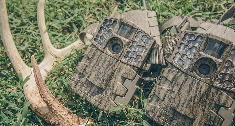 The 5 Step Process to Mastering Your Trail Cam - Wide Open Spaces