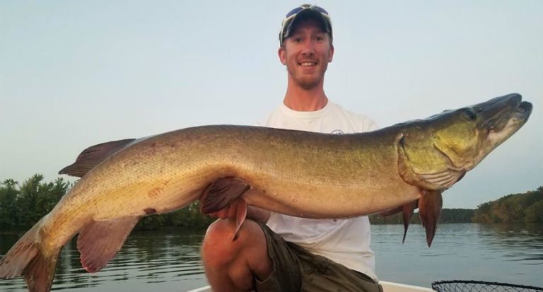 Flashback to the Ohio Man Who Caught a 55-Pound, 13-Ounce Muskie - Wide ...