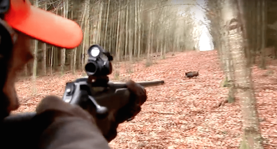 Video: Wild Boar Hunting at Its Best - Wide Open Spaces