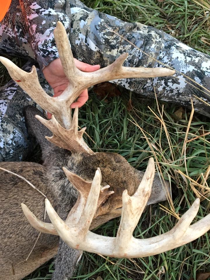 Father And Son Duo Tag Team Giant, 22-Point Buck - Wide Open Spaces