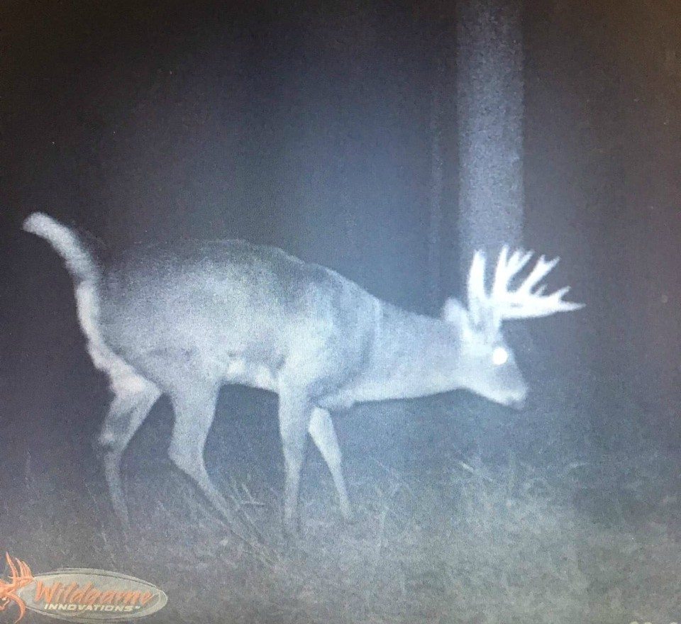 Father And Son Duo Tag Team Giant, 22-Point Buck - Wide Open Spaces