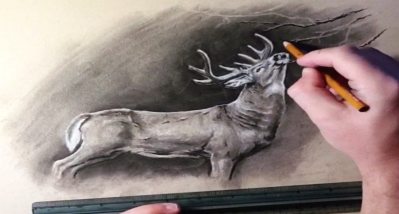 This Artist's Video Drawings of Wildlife are Mesmerizing and Incredible ...
