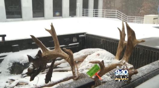 Michigan Hunter Arrows Monster 25-Point Buck in Osceola County - Wide ...