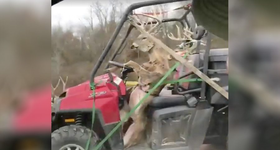 #WhitetailWednesday: Yup...It Might Be Deer Season - Wide Open Spaces
