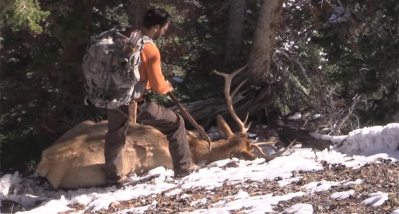 Hunter Pursues Feral Hogs With an Atlatl - Wide Open Spaces