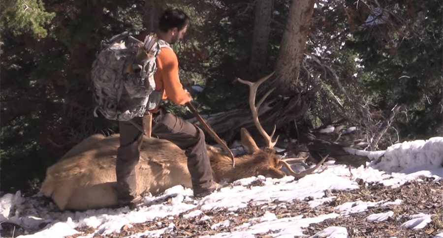 Hunter Pursues Feral Hogs With an Atlatl - Wide Open Spaces