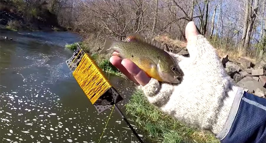 Fishing Challenge: Check Out This Crazy Gyeonji Rod - Wide Open Spaces